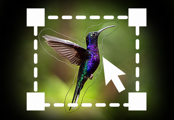 Ultimate Photoshop Course (Recordings) – Design Academy